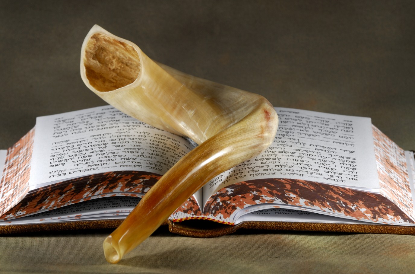 Livro da Vida – Shema Ysrael